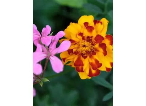 Bernadette T Ohare Obituary 2025 Poughkeepsie Ny Timothy P