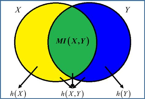 Figure S3 Representation Of Mutual Information Though Venn Diagram Download Scientific