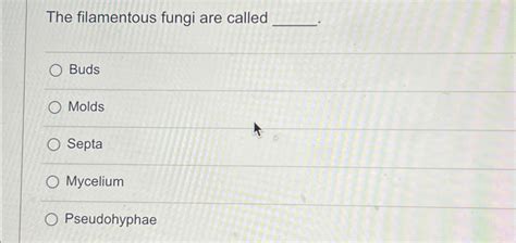 Solved The Filamentous Fungi Are
