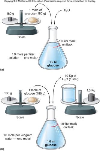 Module 5 Interaction Between Cells And The Extracellular Environment