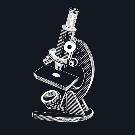 Premium Vector Vector Image Of A Microscope