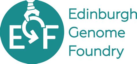 Scale Dna Manufacturing With Fully Automated Dna Assembly Workflow Molecular Devices