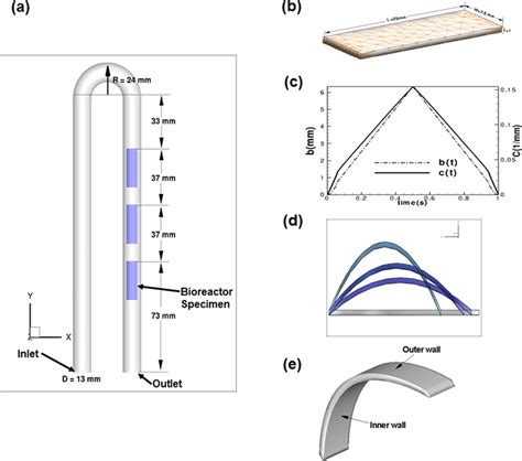 a the bioreactor geometry used for cfd modeling b triangular