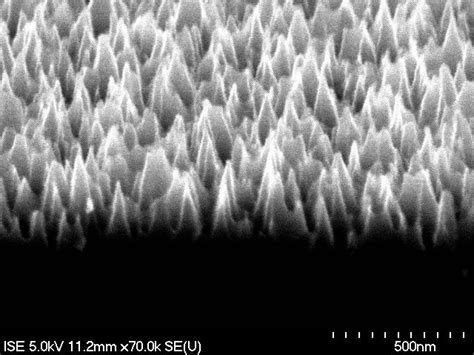 SEM Micrographs Showing The Typical Structure Of A Black Silicon Download Scientific Diagram