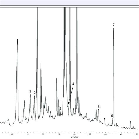 High Performance Liquid Chromatography Chromatogram Of A Methanolic Download Scientific Diagram