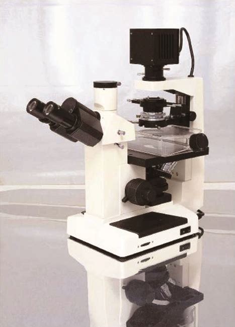 Inverted Microscope