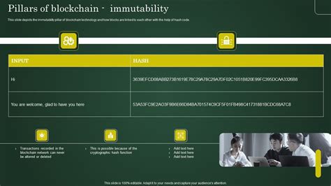 pillars of blockchain immutability involving cryptographic ledger to