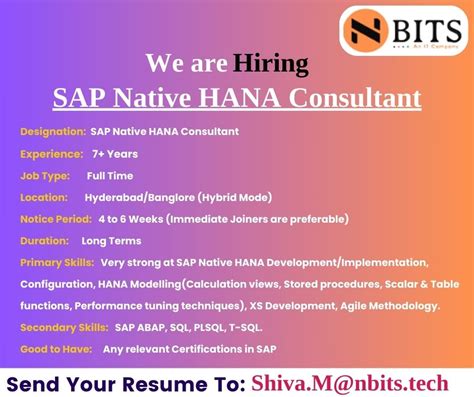 Nbits It Company On Linkedin Sapnative Hanadevelopment