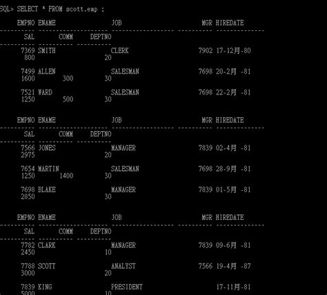 Oracle資料庫培訓課程 L Oracle SQLPlus七大常用指令教學學習