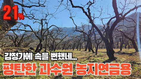 감정가 대비 80정도 하락한 농지연금용 토지 경매 사건번호 2022타경 22042 Youtube