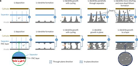 Graphical Illustration Of Dendrite Formation Within Battery Leading To