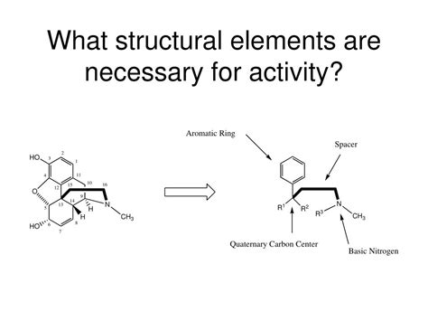 Ppt Summary Of Structure Activity Relationships Sars Powerpoint