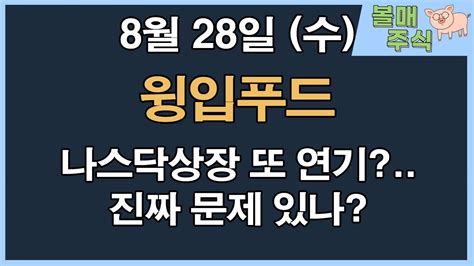 윙입푸드 나스닥 상장 또 연기 진짜 문제있나 Youtube