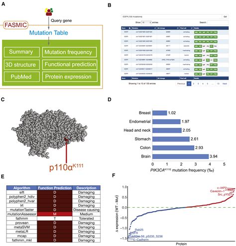 Systematic Functional Annotation Of Somatic Mutations In Cancer Cancer