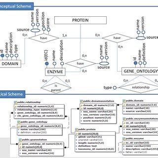 Conceptual To Logical Mapping Part Download Scientific Diagram