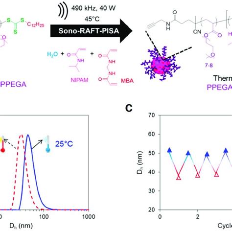 Sonochemically Induced Reversible Addition Fragmentation Chain Transfer Download Scientific
