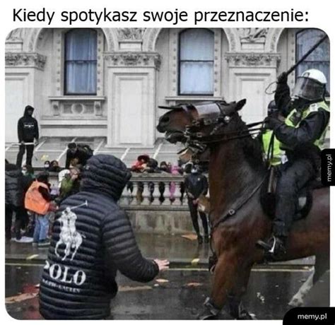 Chuj Ci W Dupe I Na Imi Memy Pl