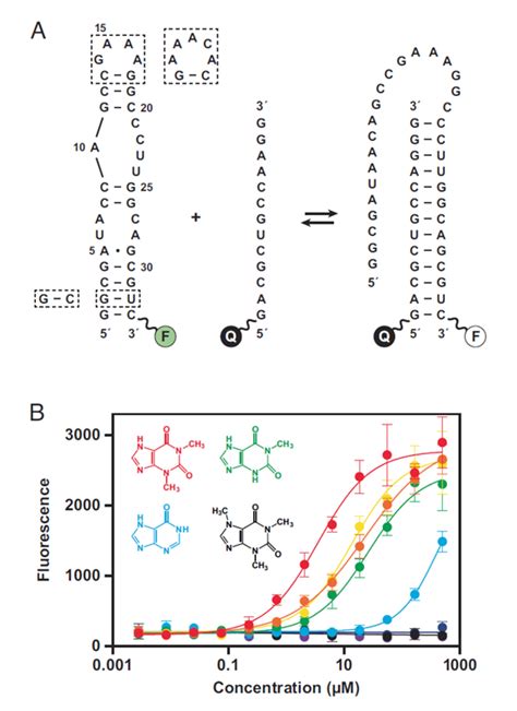 Pnas丨可靶向rna三级结构的小分子 企业官网