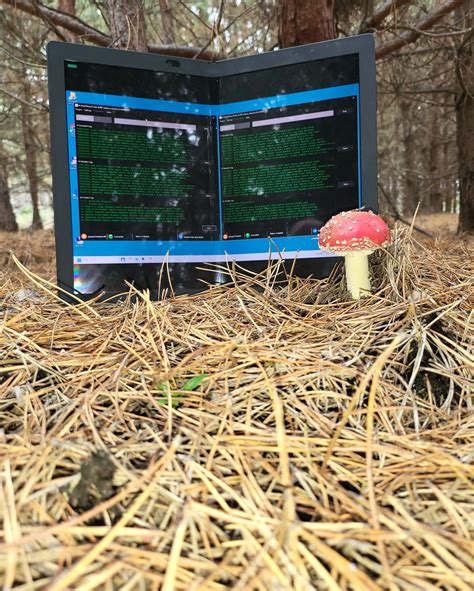 Ai Seed Phrase Finder And Btc Balance Checker Tool For Windows Pc Ai Seed Phrase Finder