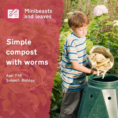 Simple Compost With Worms Outdoor Lesson Idea By Learning Through Landscapes
