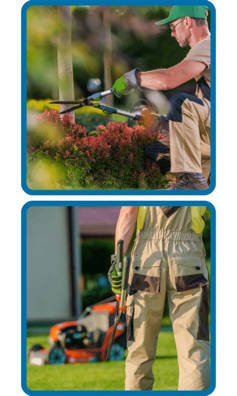 Gartenpflege In Baabe Thiessow Sellin And Göhren Cleansee