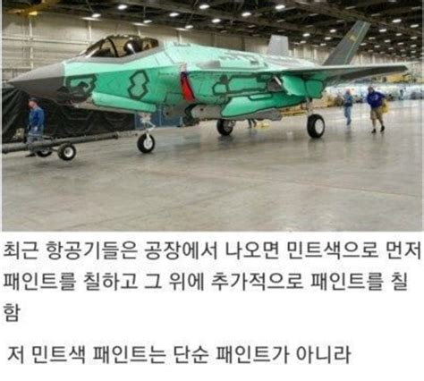 감정일기 의외로 잘 모르는 항공기에 민트도색을 하는 이유 본문 댓글 Facebook