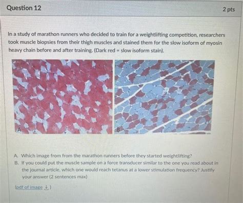 Solved Question 11 1 Pts The Graph Below Was Generated By