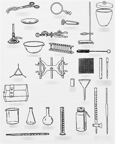 Lab Equipment Diagram At Karen Saunders Blog