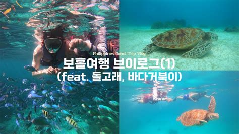 보홀여행 Vlog 1ㅣ신혼부부 여행 브이로그ㅣ보홀 자유여행 일정ㅣ보홀 호핑투어 발리카삭ㅣ보홀 스노쿨링 돌고래 바다거북이ㅣ보홀