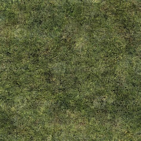 High Quality Seamless Grass Texture Map For Versatile Material Creation And Commercial