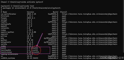 安装pytorch（gpu版）nvidia Pytorch Csdn博客