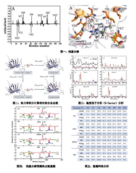 计算机辅助药物设计cadd Amber分子动力学 薛定谔 Aidd人工智能 怎么学？ 知乎