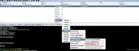 第100天：权限提升 数据库andredisandpostgreand第三方软件andtvand向日葵and服务类postgresql Rce提权 Csdn博客