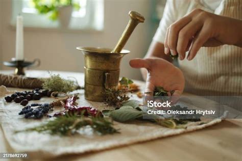 남자의 클로즈업은 절구와 유봉에 말린 허브를 추가합니다 홈메이드 건강 및 영양 보충제 가위에 대한 스톡 사진 및 기타 이미지 가위 건강관리와 의술 건강한 생활방식