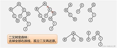 【数据结构】树与二叉树、森林与二叉树的转换 数据结构中转换森林 csdn博客