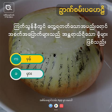 အစိမ်းရောင်လမ်း အစိမ်းရောင်လမ်းရဲ့ ဉာဏ်စမ်းအစီအစဉ်