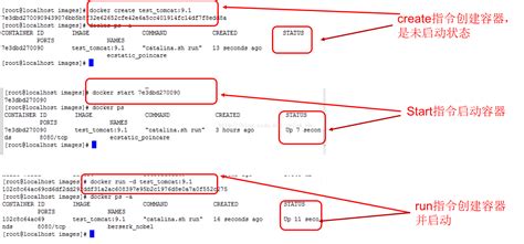 Docker入门与实战讲解docker基础实战理解和收获 Csdn博客