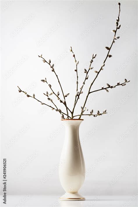 Pussy Willows In Vase