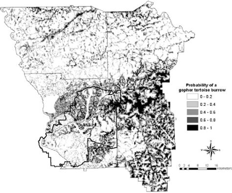 Predicted Gopher Tortoise Habitat Distribution Map For The Five County
