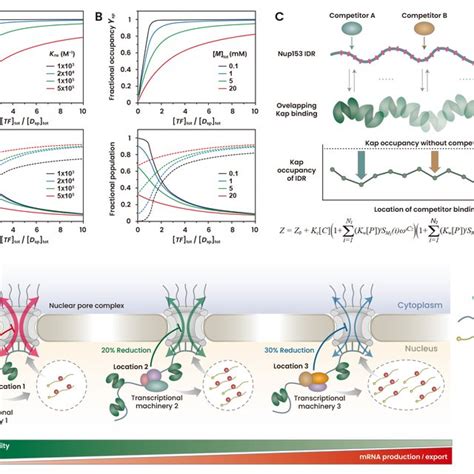 Schematic Illustration Of The Representative Linear Lattice Systems In Download Scientific