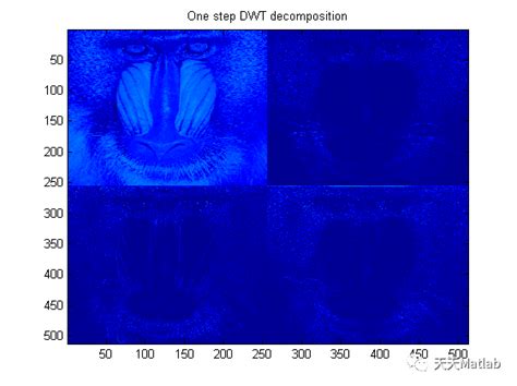 【图像隐藏】基于dwt与svd算法实现数字水印嵌入提取附matlab代码 dwt图像隐藏 csdn博客