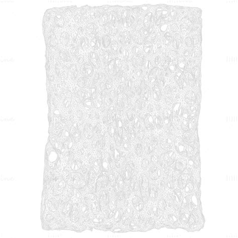 Bone Structure Sponge 3d Model