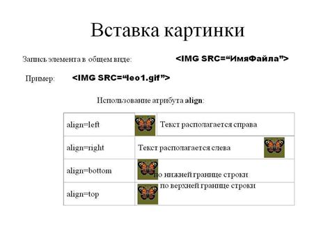 Как вставить изображение в таблицу в Html