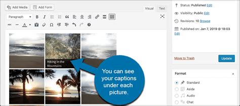 how to add image captions in wordpress greengeeks