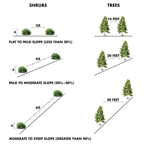 Plant And Tree Spacing Fire Safe Marin