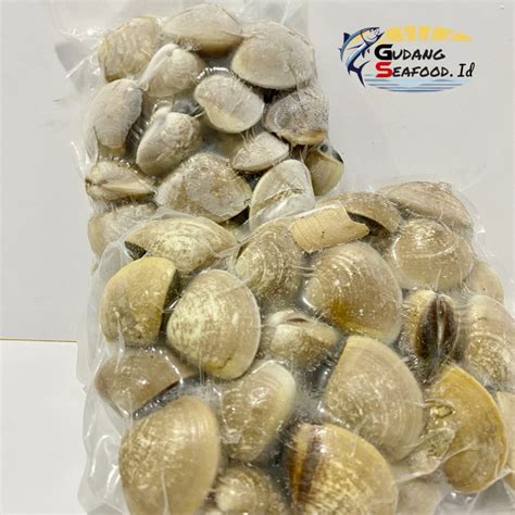 Jual Kepah Putih 25 30 Keping Kg Shopee Indonesia