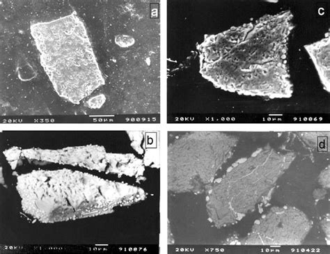 Sem Micrographs Of Unreduced And Reduced Chromite Spinels At 1 200°c Download Scientific
