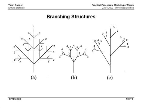 Branching Patterns In Trees Pattern Matching Algorithms