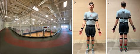 Nonan Gaitprint：健康年轻人的 Imu 步态数据库scientific Data X Mol