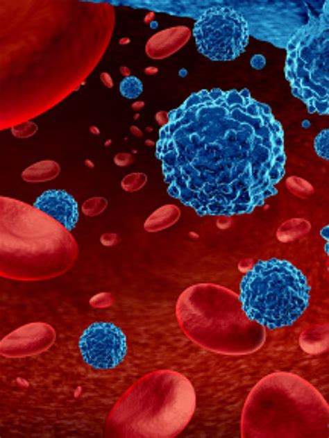 இரத்த உற்பத்தியை அதிகரிக்க உதவும் உணவுகள்